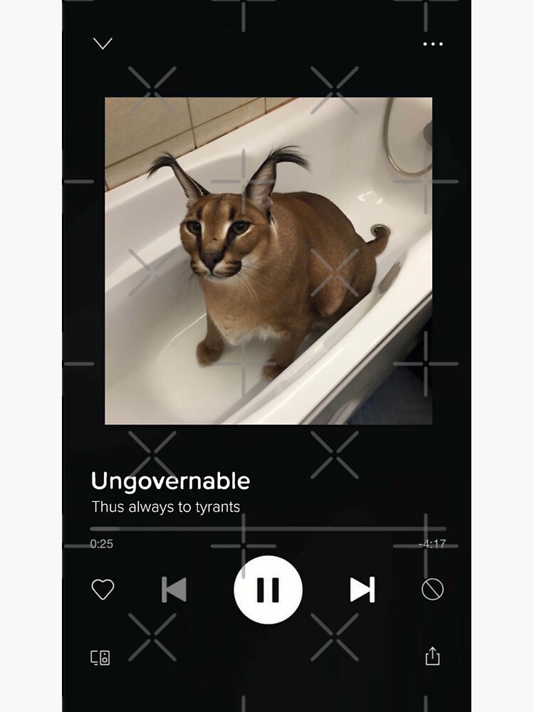 "Floppa cat meme Ungovernable anti-governemt" Sticker for Sale by ...