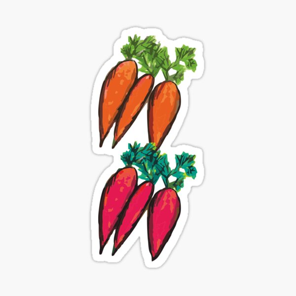 "carrot varieties" Sticker for Sale by Veki5 | Redbubble