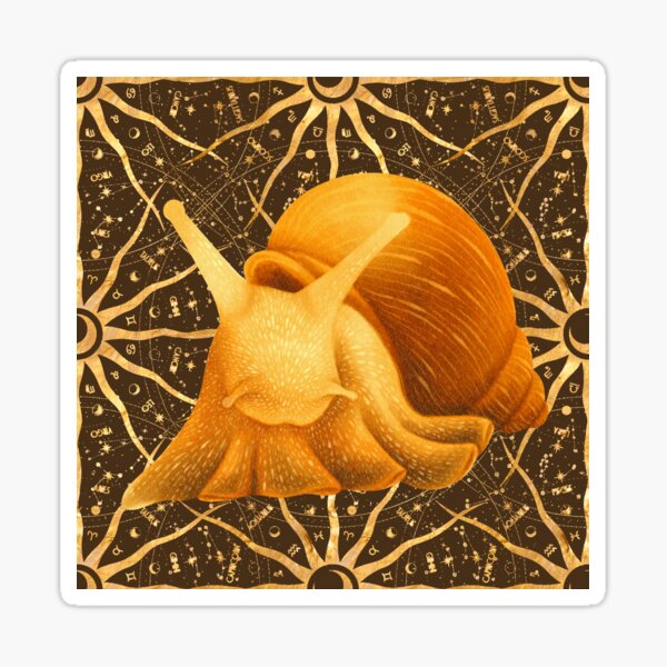 "CUTE SNAIL STUFF - SNAILS VINTAGE - SNAILS RETRO" Sticker for Sale by ...