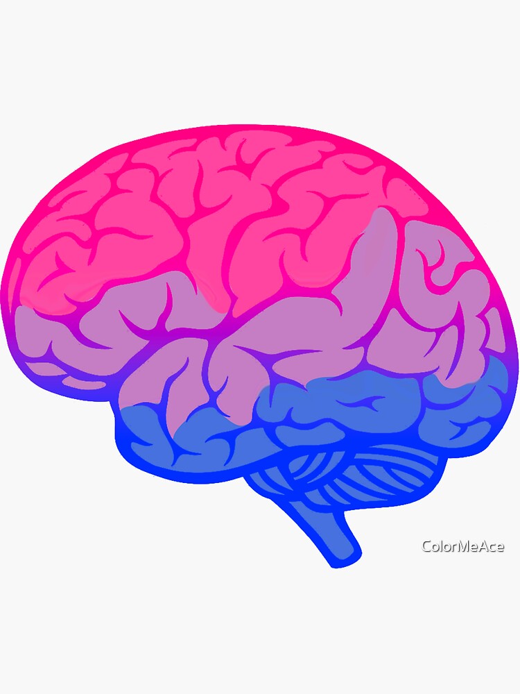 "Bi Pride Brain (style3)" Sticker for Sale by ColorMeAce | Redbubble