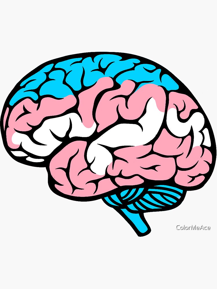 "Trans Pride Brain (style1)" Sticker for Sale by ColorMeAce | Redbubble