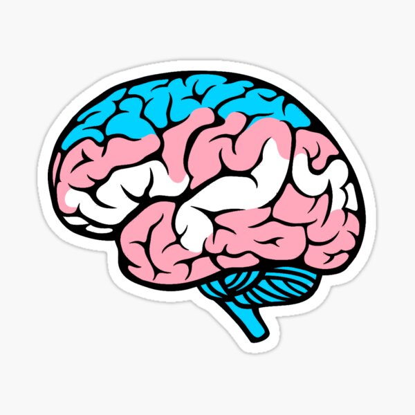 "Trans Pride Brain (style1)" Sticker for Sale by ColorMeAce | Redbubble