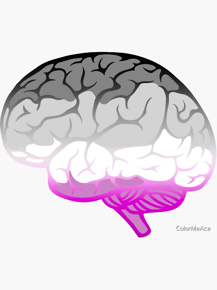 "Ace Pride Brain (style3)" Sticker for Sale by ColorMeAce | Redbubble
