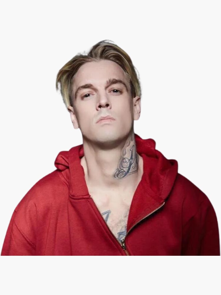 "aaron carter" Sticker for Sale by kanimozhi95 | Redbubble