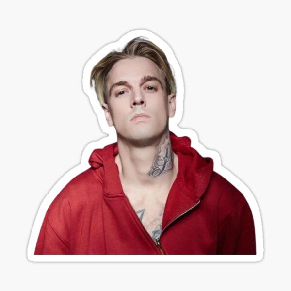 "aaron carter" Sticker for Sale by kanimozhi95 | Redbubble