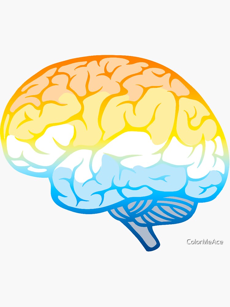 "Aroace Pride Brain (style3)" Sticker for Sale by ColorMeAce | Redbubble