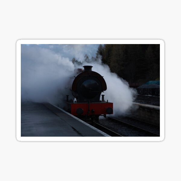 "Emerging From Steam" Sticker for Sale by LPYL | Redbubble