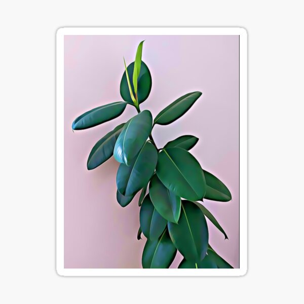 "Plant with big Leaf's" Sticker for Sale by Strax19 | Redbubble