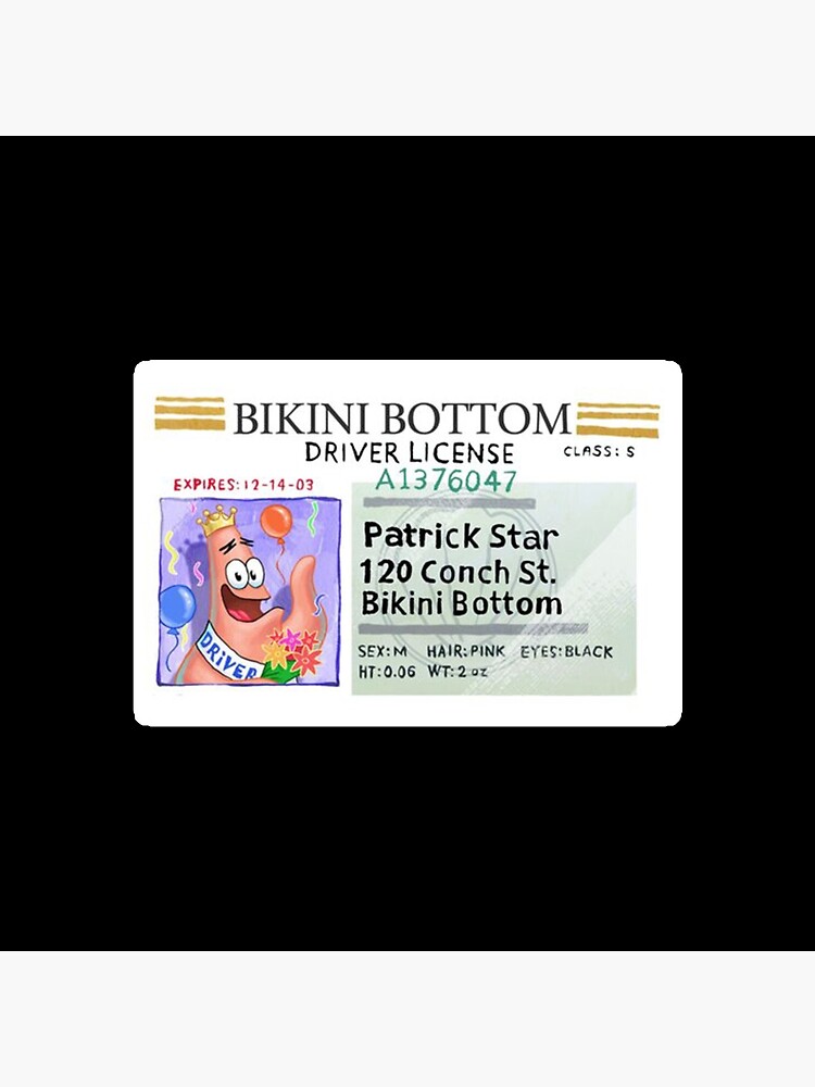 "Patrick Star Driver's License" Poster for Sale by pascaraul | Redbubble
