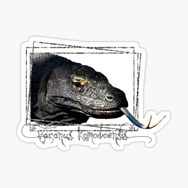 "Komodo Dragon (Varanus komodoensis) Design" Sticker for Sale by herpetologystr | Redbubble
