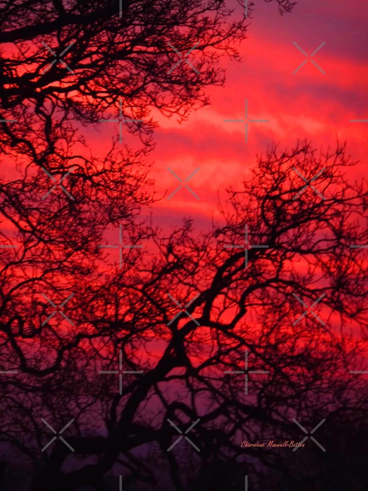 "Ruby Sunset" Art Print for Sale by Sita | Redbubble