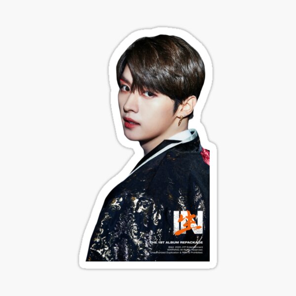 "[Stray Kids] LEE KNOW IN生" Sticker for Sale by membercott | Redbubble