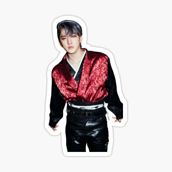 "[Stray Kids] CHANGBIN IN生" Sticker for Sale by membercott | Redbubble