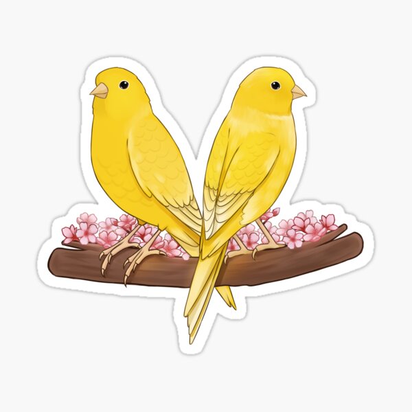 "Cute Canaries" Sticker for Sale by meruesan | Redbubble