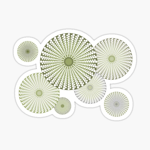 "Sea Urchin | Kina | Abstract | Patterns in Nature | Sea Shells ...