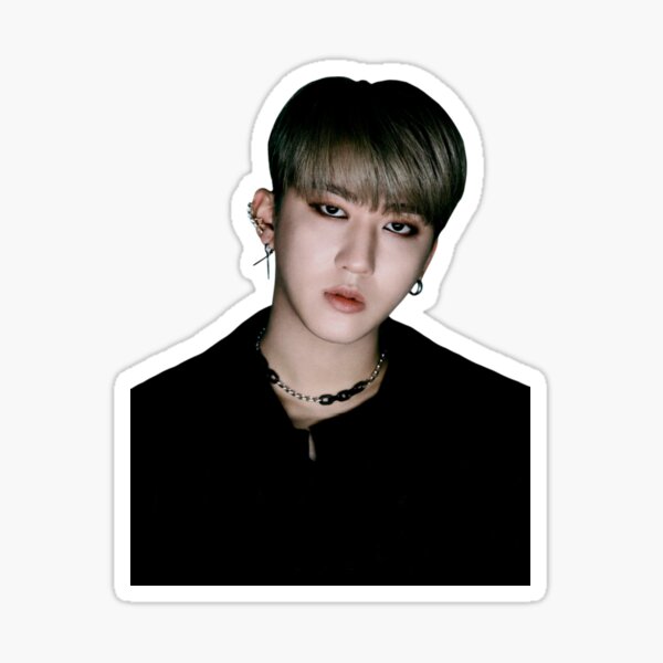 "[Stray Kids] CHANGBIN ODDINARY" Sticker for Sale by membercott | Redbubble