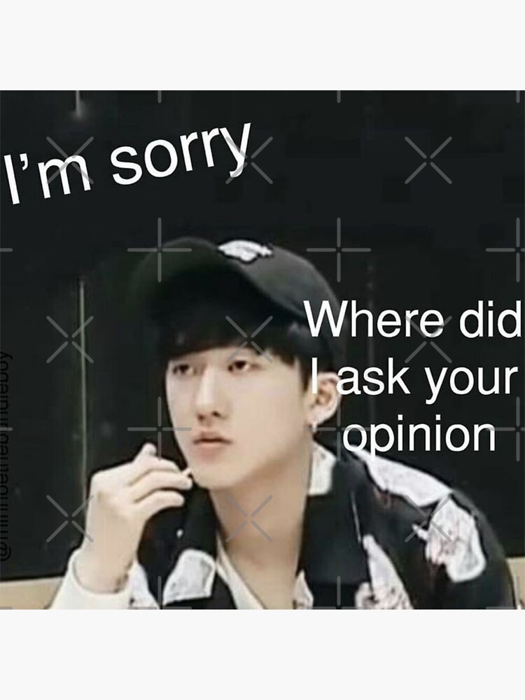 "Stray Kids Changbin funny meme - skz" Sticker for Sale by Monahh98 ...