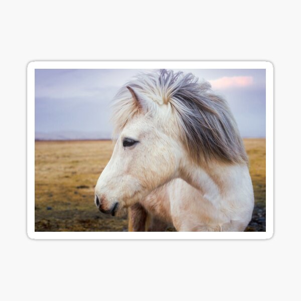 "Horse Side Eye" Sticker for Sale by AnimalZen | Redbubble