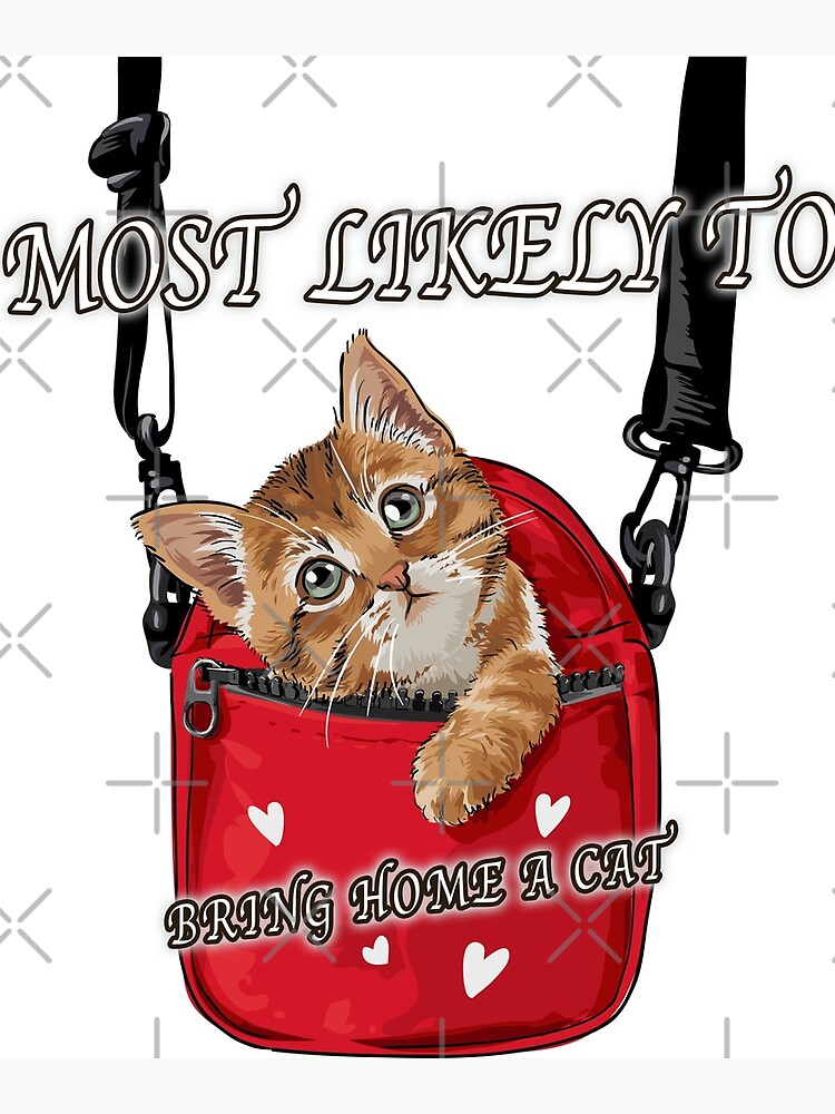 "most likely to bring home a cat for cat lovers cat person pet memes ...