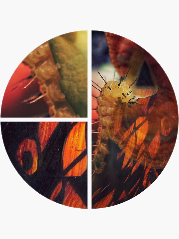 "Spiky caterpillar and drawn flames" Sticker for Sale by OZKURO | Redbubble