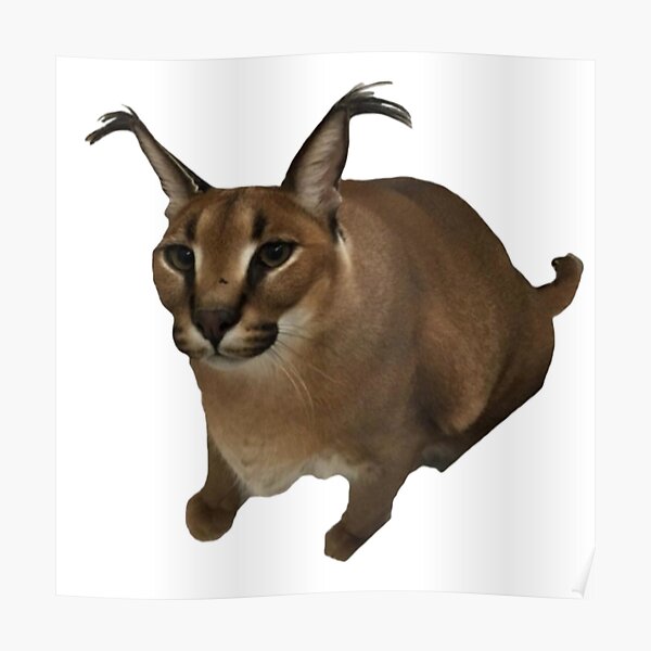 "Floppa meme " Poster for Sale by Msrblesalesman | Redbubble