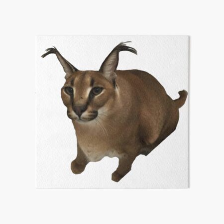 "Floppa meme " Art Board Print for Sale by Msrblesalesman | Redbubble