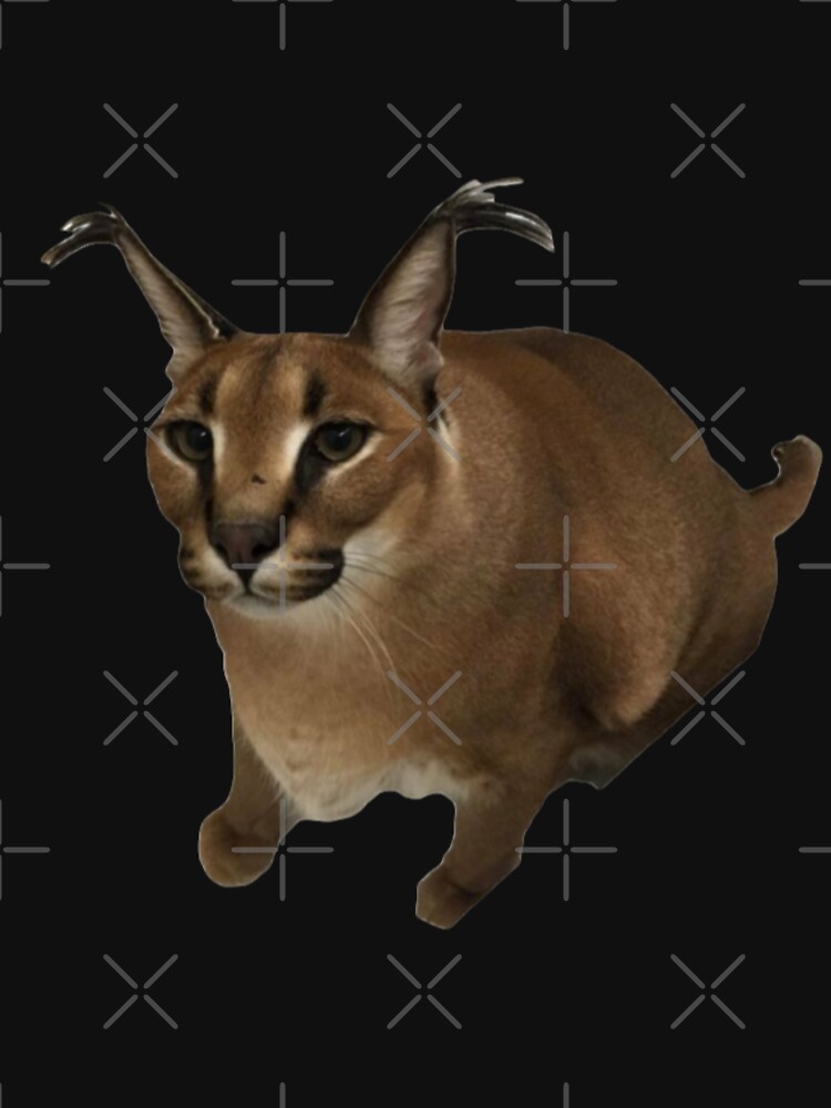 "Floppa meme " T-shirt for Sale by Msrblesalesman | Redbubble | floppa ...