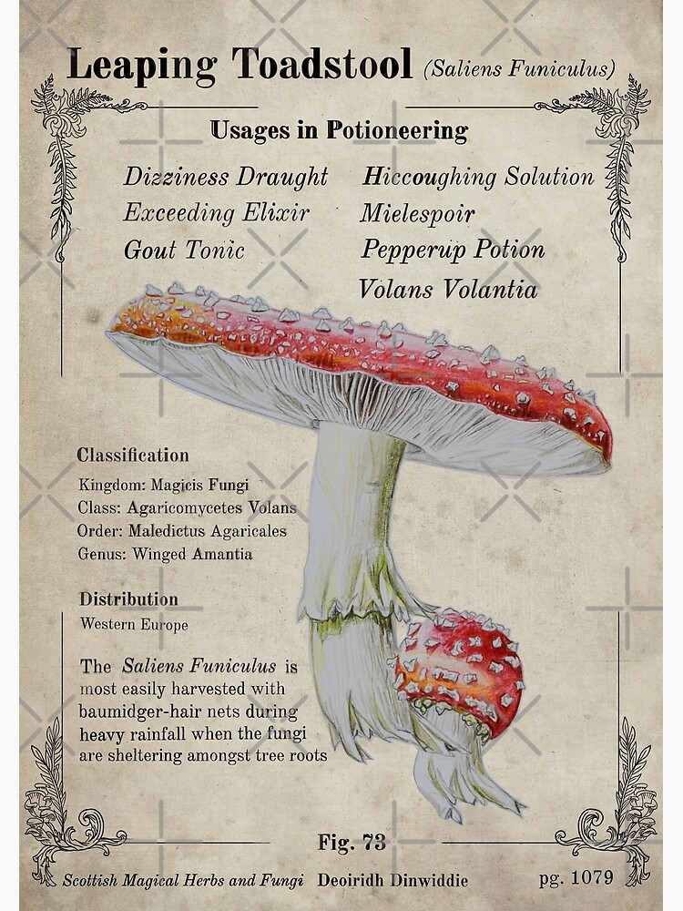 "Leaping Toadstool Herbology Botanical" Poster for Sale by ...