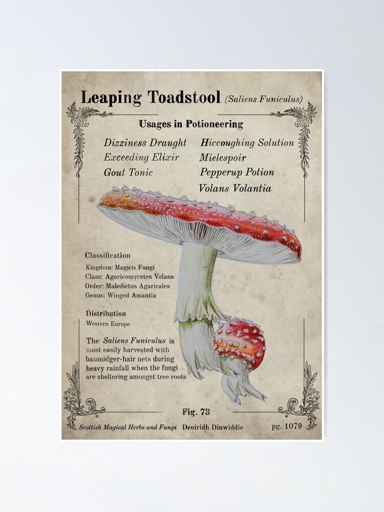 "Leaping Toadstool Herbology Botanical" Poster for Sale by ...
