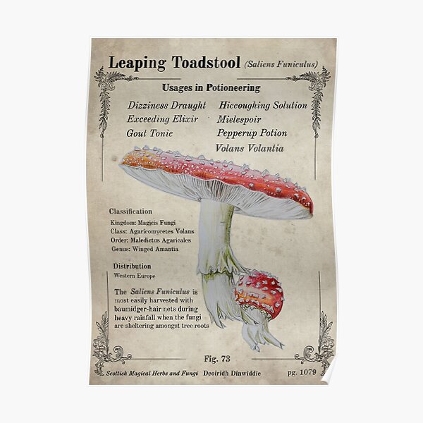 "Leaping Toadstool Herbology Botanical" Poster for Sale by ...