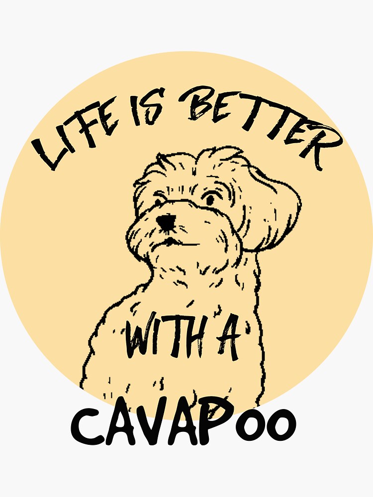 "Life Is Better With A Cavapoo" Sticker for Sale by MimtiHbibti | Redbubble