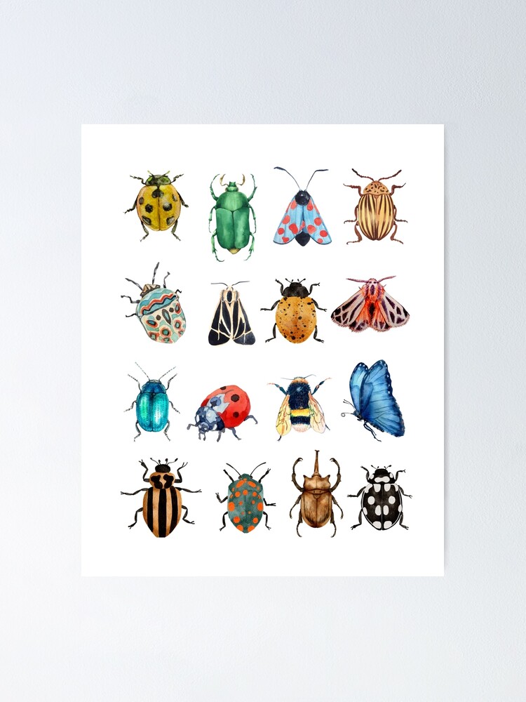 Póster «Hermosos insectos y bichos eclécticos vintage» de BohemiWANDERS ...