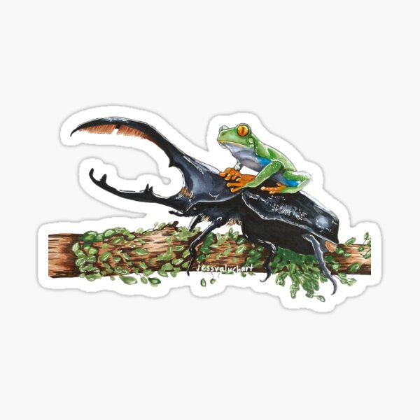 "Frog riding an Atlas Beetle!" Sticker for Sale by jessvaluchart ...