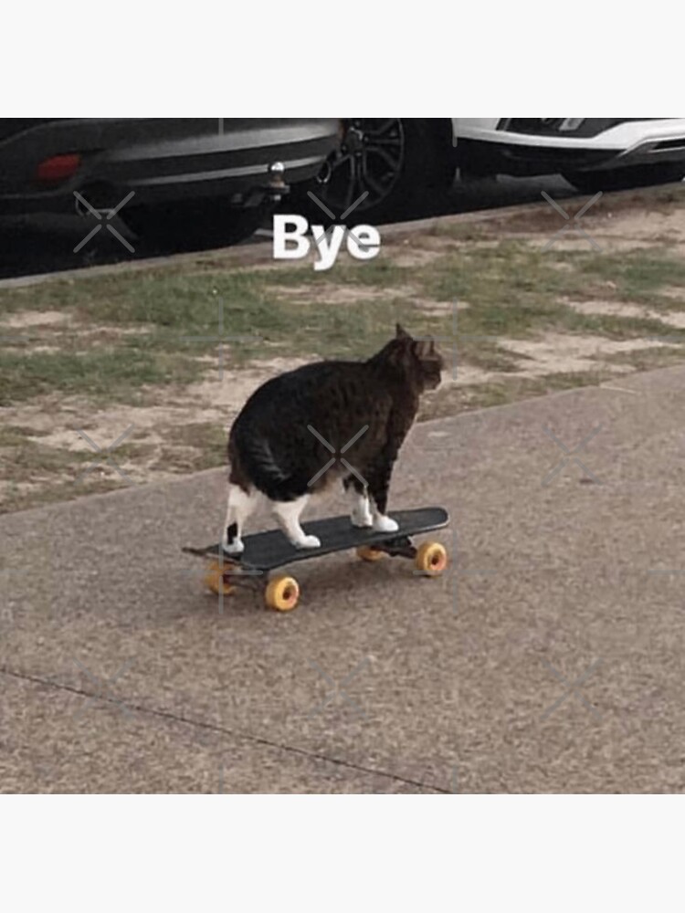 "Cat bye meme" Sticker for Sale by MaddyVG | Redbubble