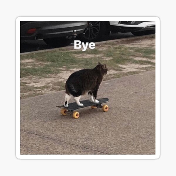 "Cat bye meme" Sticker for Sale by MaddyVG | Redbubble