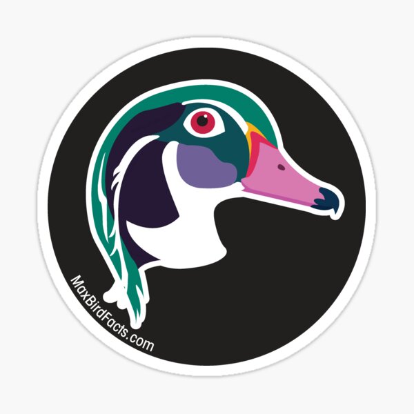 "Wood Duck (Male)" Sticker for Sale by MaxBirdFacts | Redbubble