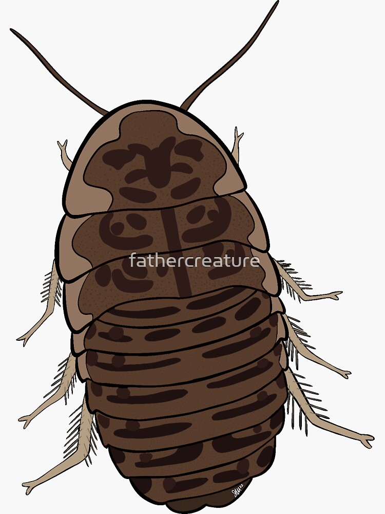 "Dubia Roach Sticker by Jam" Sticker for Sale by fathercreature | Redbubble