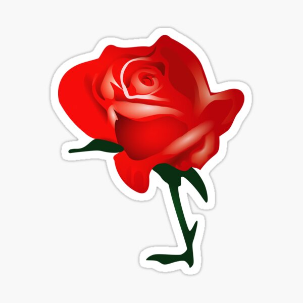 "Beautiful red rose" Sticker for Sale by iTrending | Redbubble