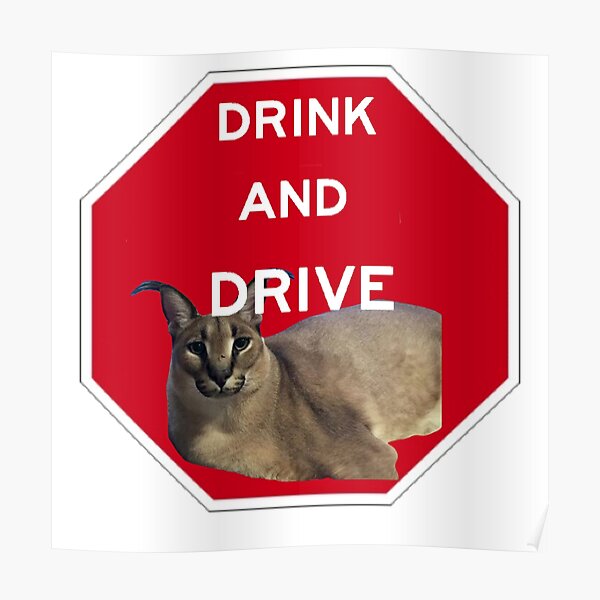 "Floppa meme drink and drive" Poster for Sale by Msrblesalesman | Redbubble