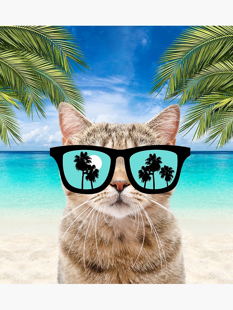 "Cat Watching Sunset Scene On Kitty Beach " Poster for Sale by ...