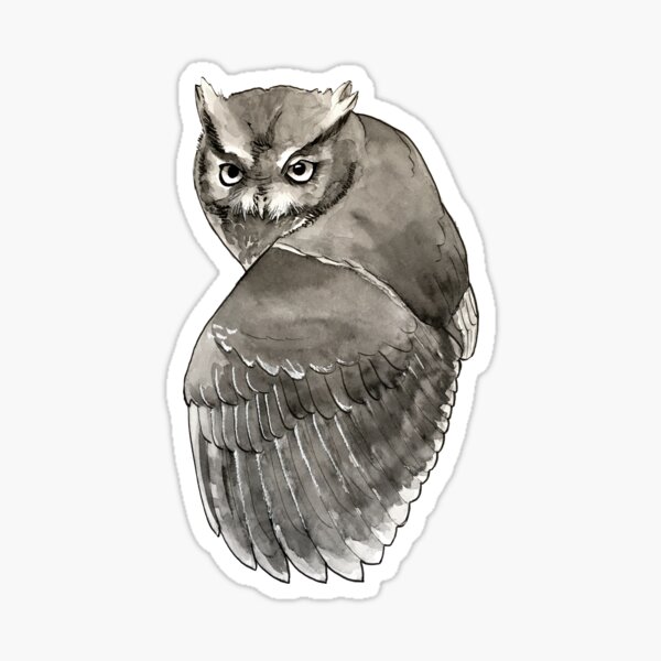 "Screech Owl Cute Realistic" Sticker for Sale by Ciarabarsotti | Redbubble