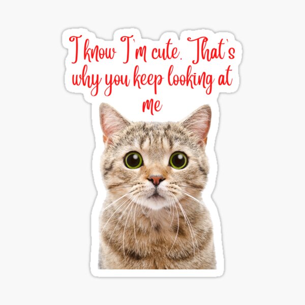 "Cute Staring Kitty " Sticker for Sale by GracesPlace01 | Redbubble