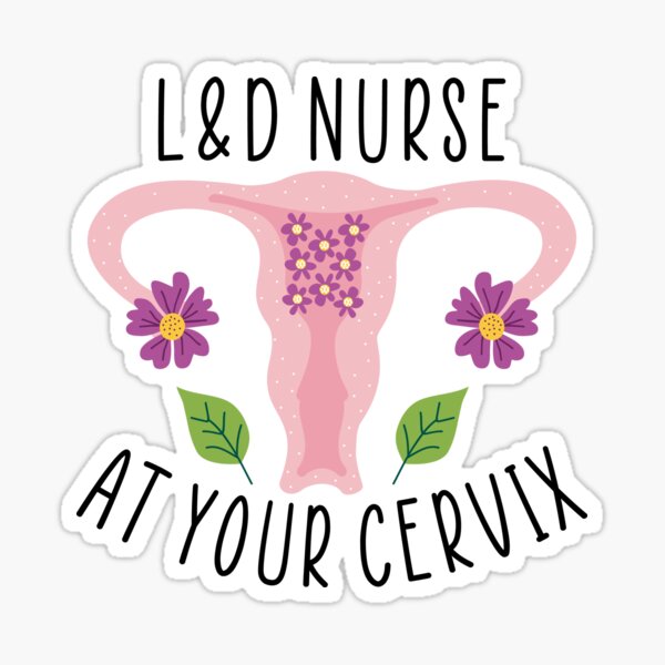 Labor And Delivery Landd Nurse At Your Cervix Funny L And D Nurse