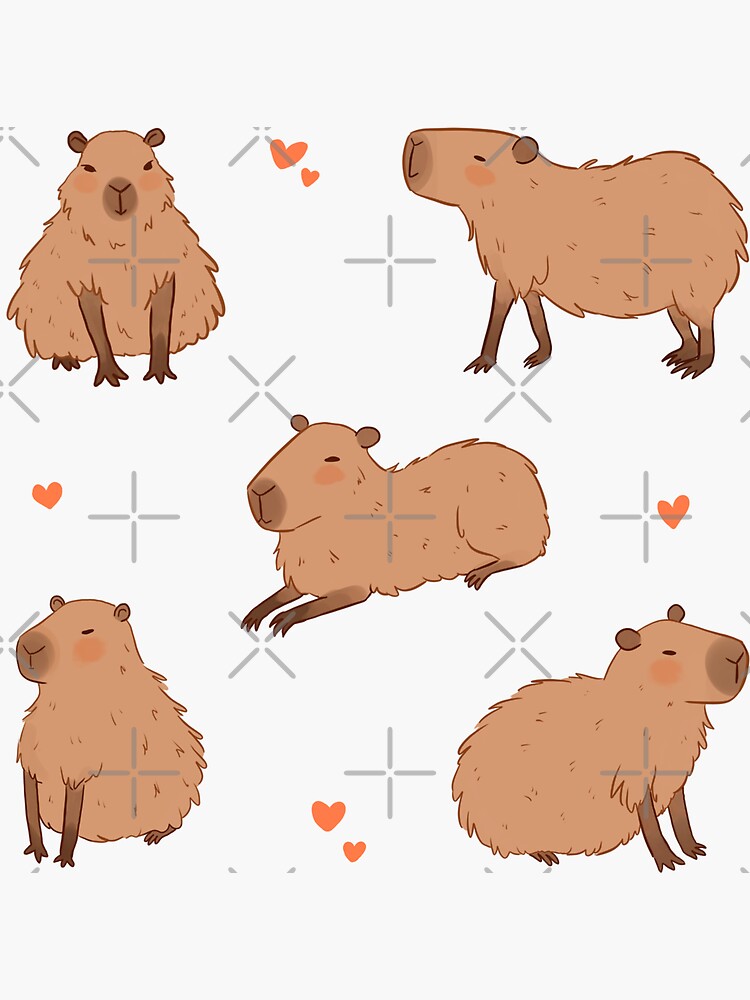 "Capybara cute pattern - cartoon capybara illustration pack" Sticker ...