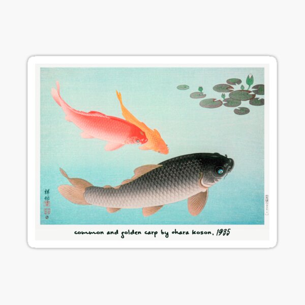 "Common and Golden Carp by Ohara Koson - Great Arts" Sticker for Sale ...