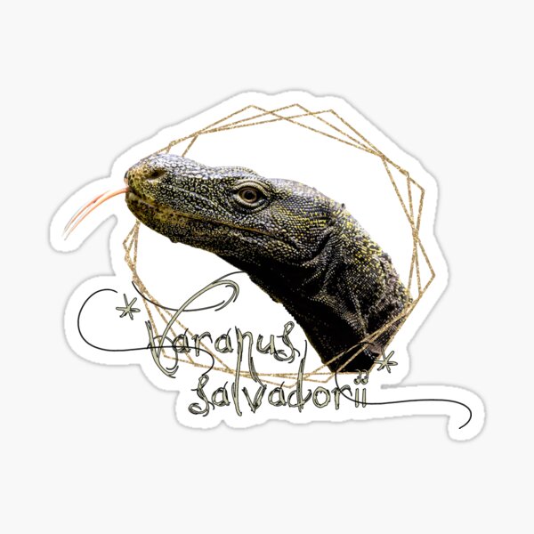 "Crocodile Monitor Lizard (Varanus salvadorii) Design" Sticker for Sale by herpetologystr ...