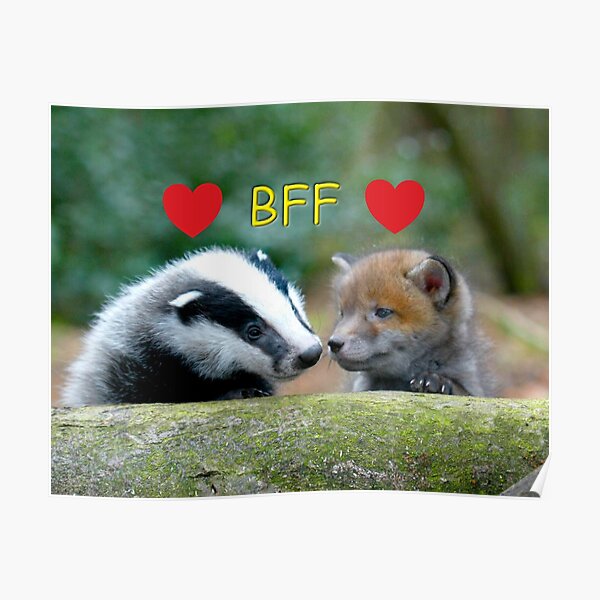 "Badger and Fox Cubs BFF Love Hearts" Poster for Sale by Hydestile ...