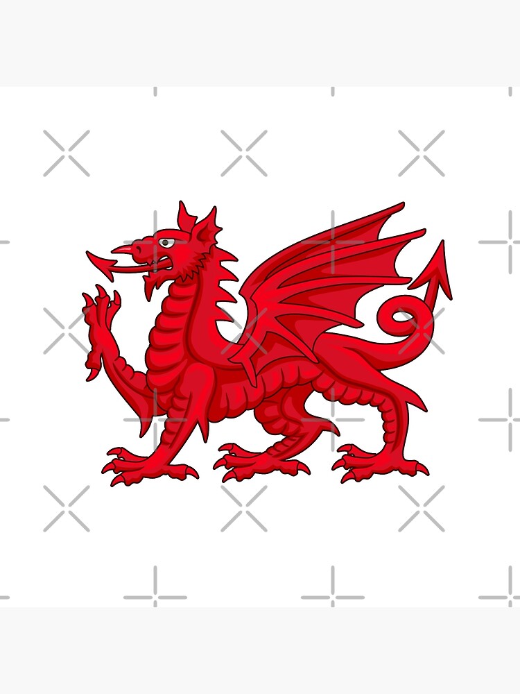 "Welsh Dragon" Art Print for Sale by ValentinaHramov | Redbubble