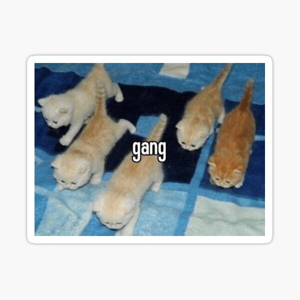 "Cat Gang Orange Cats" Sticker for Sale by vaujany | Redbubble