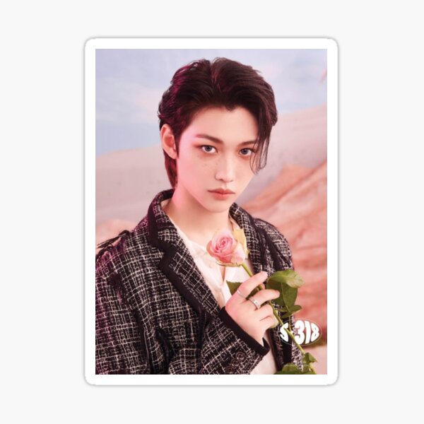 "Lee Felix Maxident STRAY KIDS billboards SKZ LOGO kpop circle ...